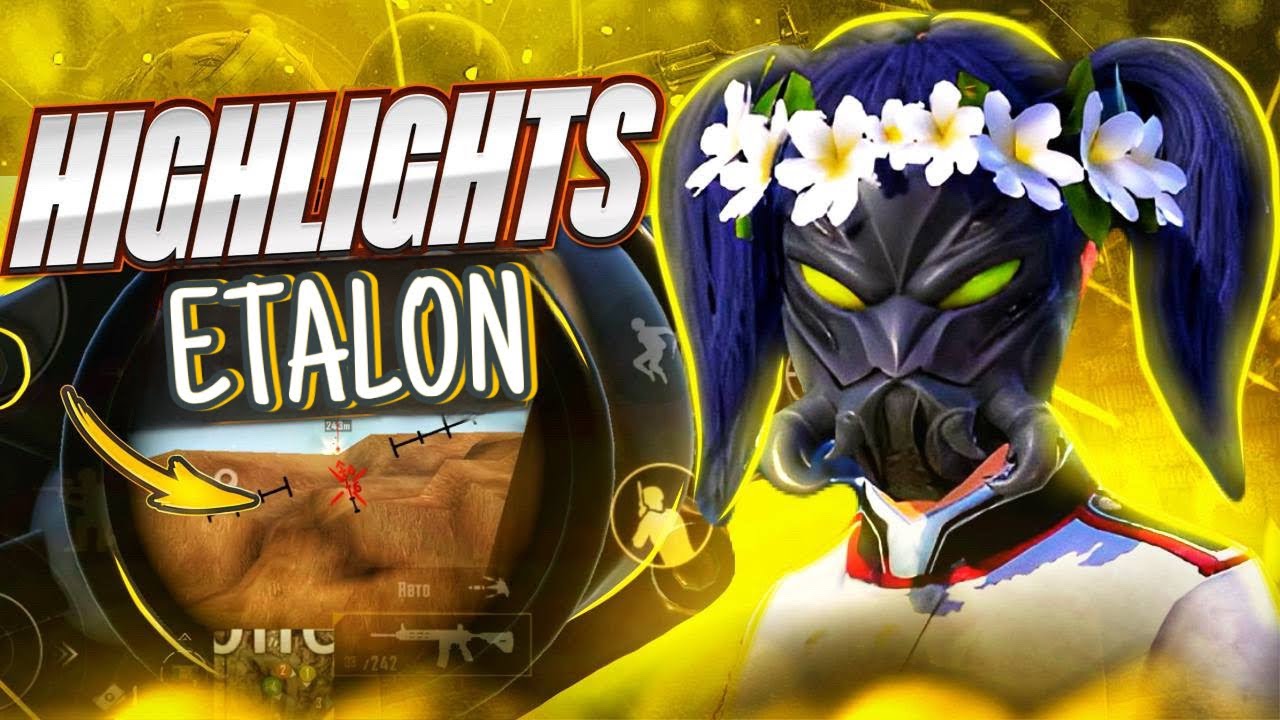 New HIGHLIGHTS - YouTube