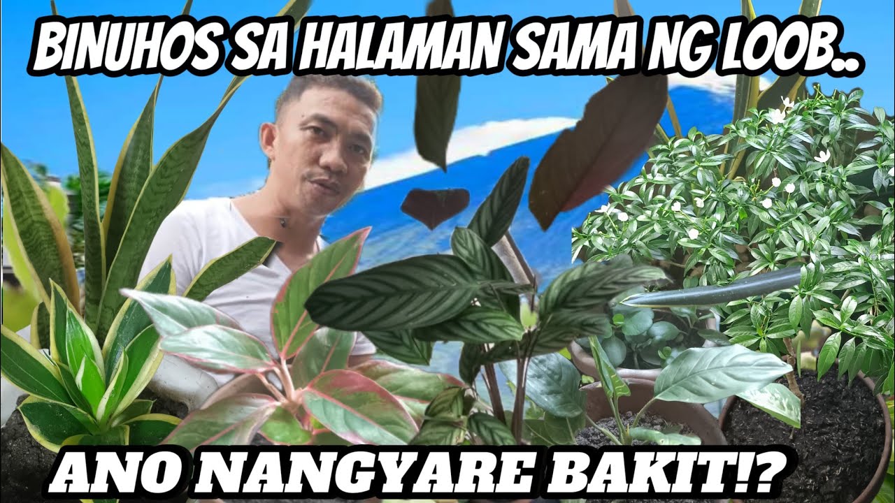 BURNOK .. HALAMAN PINAGDISKITAHAN @kabusinessofficial @kabusinessfam ...