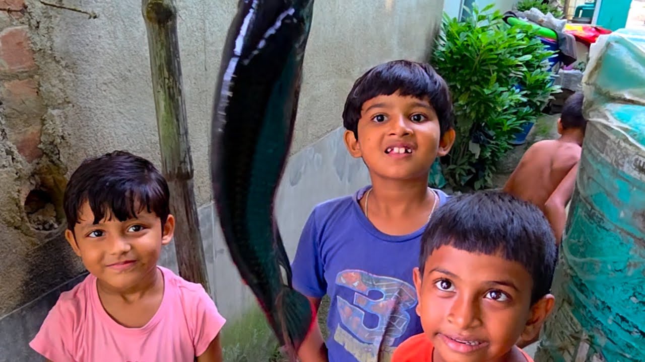 True Black Fish Catching By Chance Hindi Video || Kolkata Fishing - YouTube