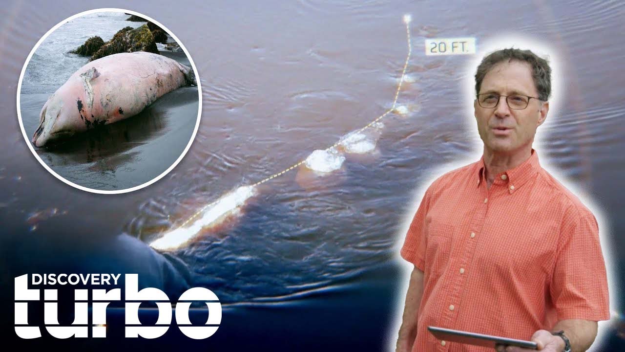 Did This Man See A Serpent Ice Monster In The Water? | The Alaska ...