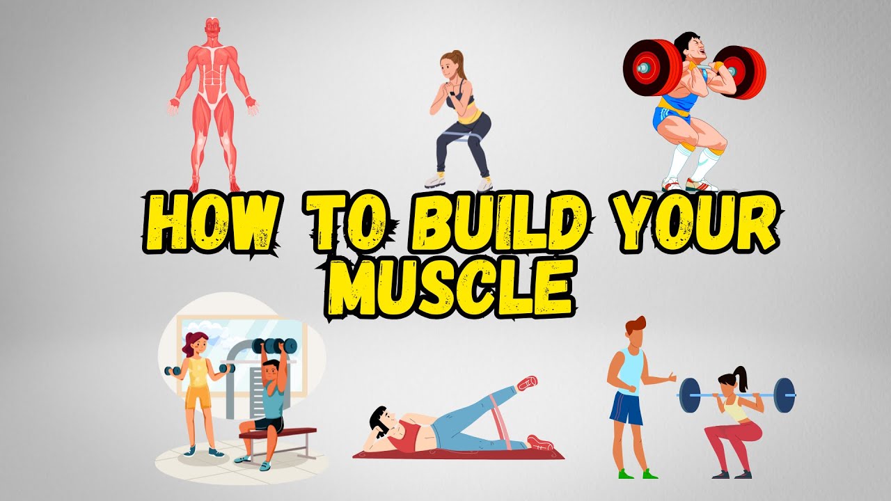 How to Build Muscle | The Ultimate Beginner’s Guide #musclebuilding ...