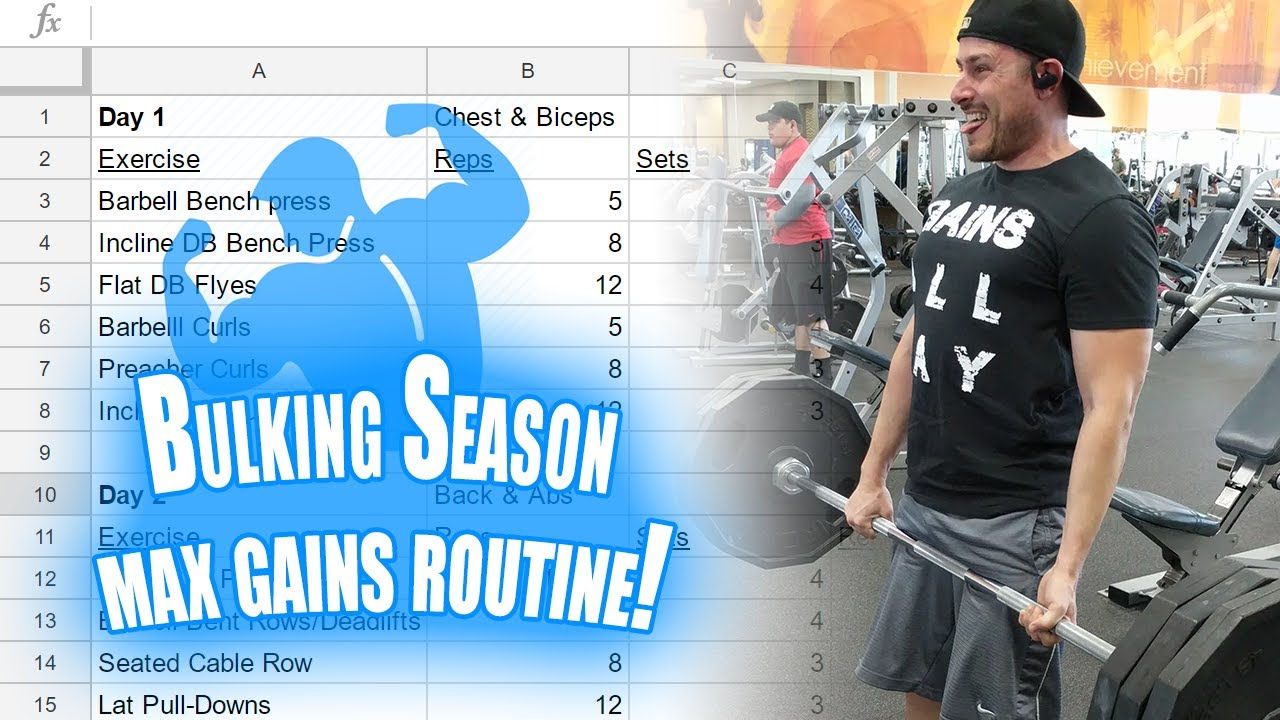 New 12 Week Workout Routine to Maximize Gains! - YouTube