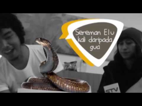 Dodit Mulyanto kena Grebek Wartawan saat Menginap di Hotel   YouTube