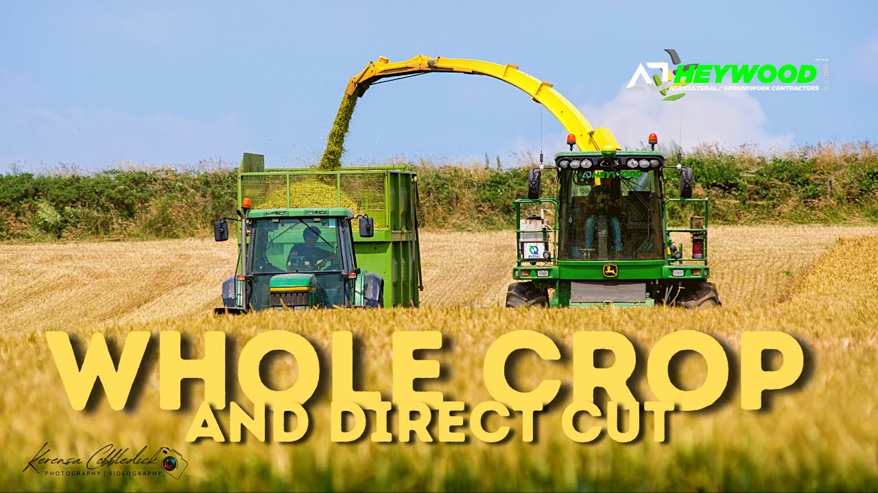 Whole Crop and Direct Cut - YouTube