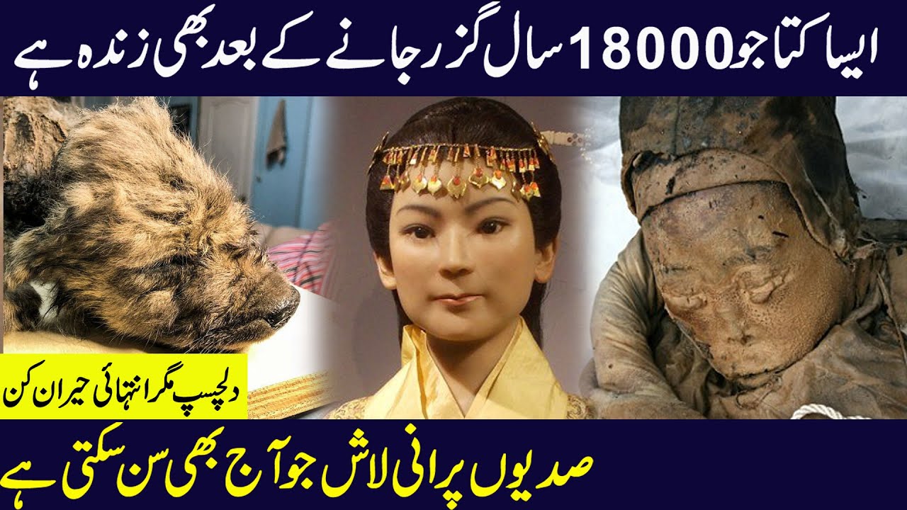 Ancient Chinese Mummy | Story Of Unbeliveable People | Siberian 18000 ...