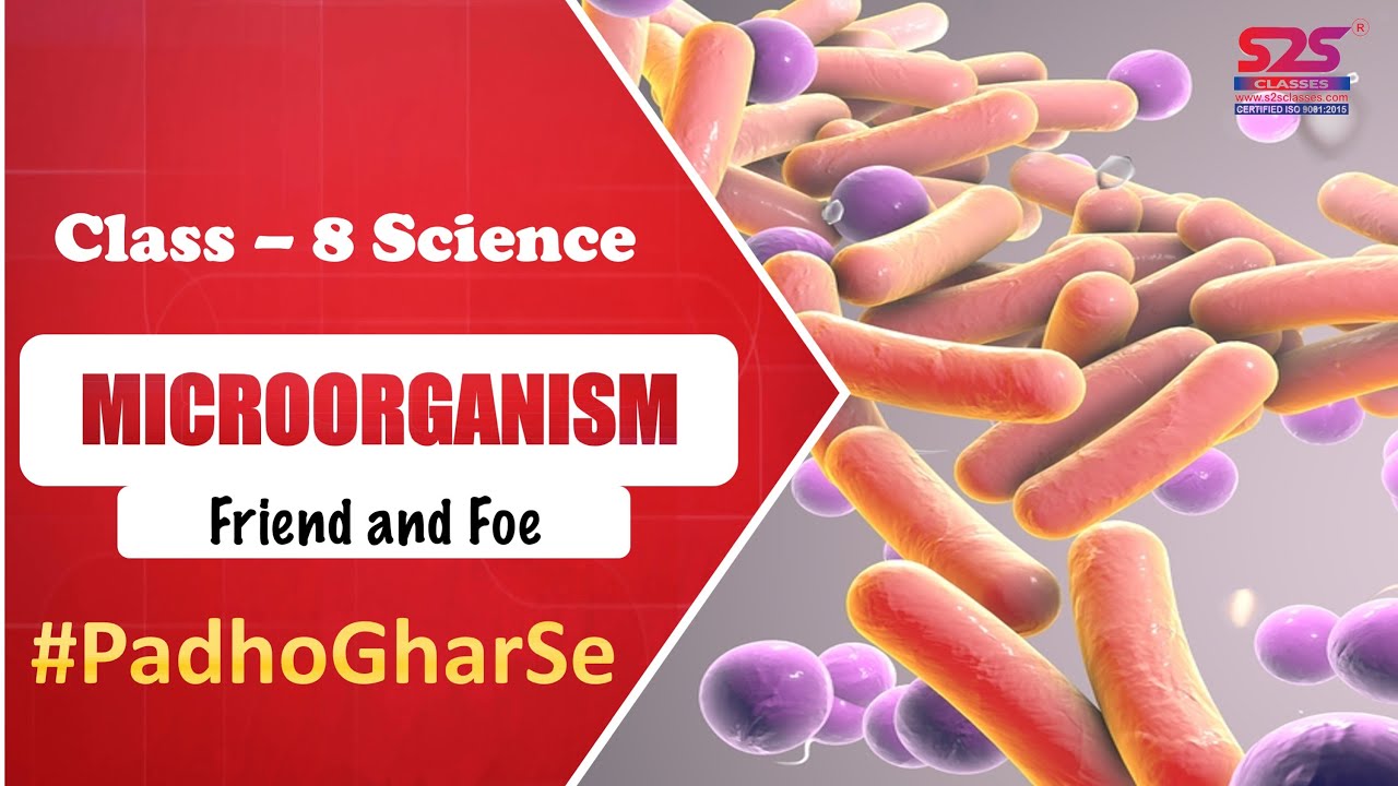 Class 8- Science | Microorganisms:Friend and Foe | Harmful ...