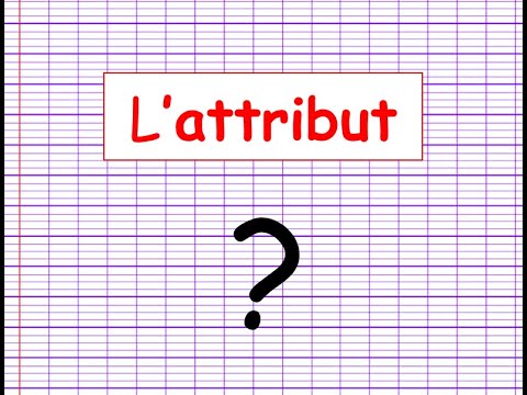 L'attribut - YouTube