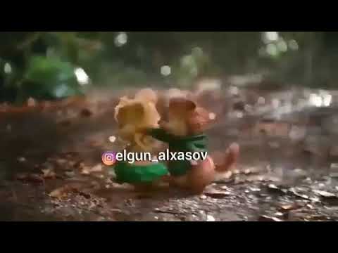 sevgi statusları 2021