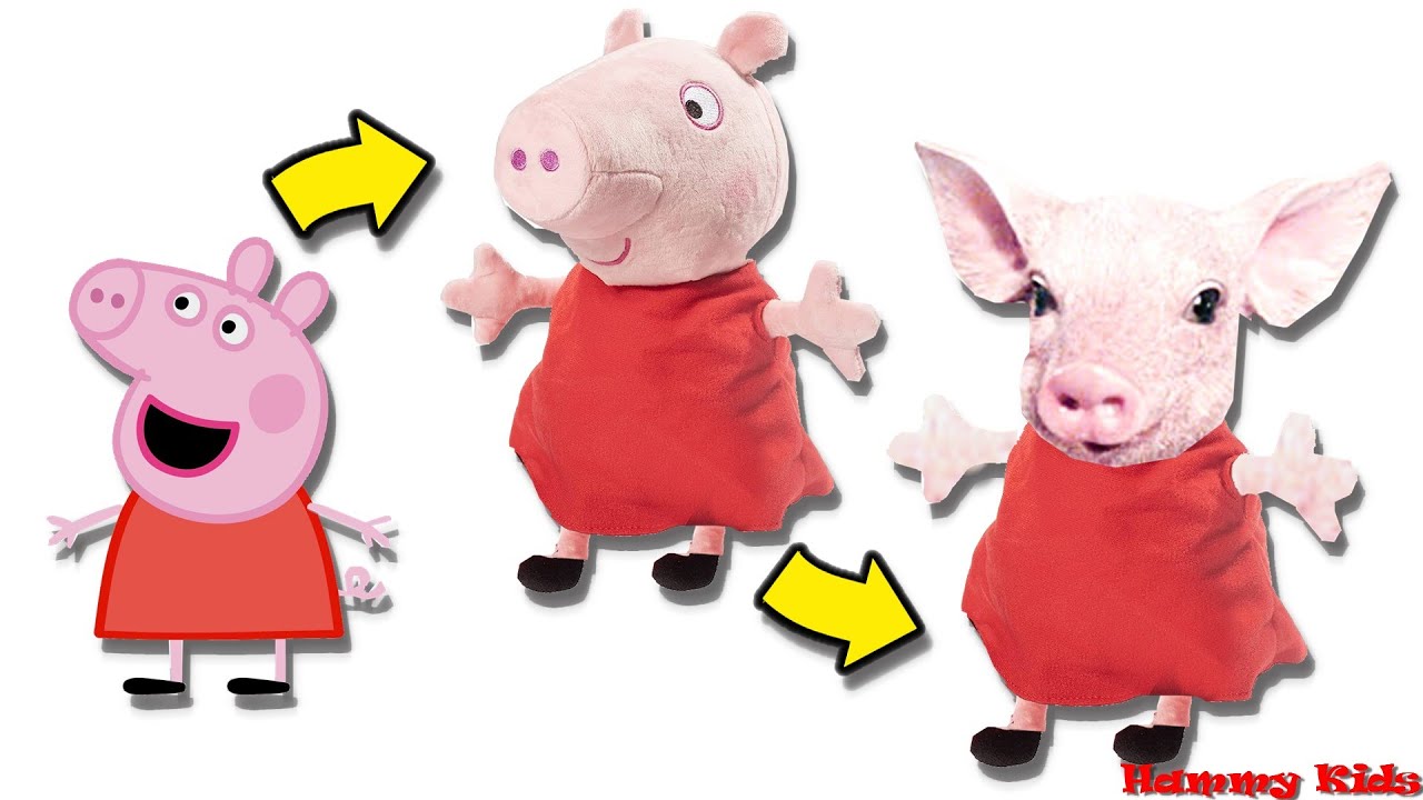 Peppa Pig | Peppa Pig Toy | Peppa Pig REAL LIFE | Hammy Kids - YouTube