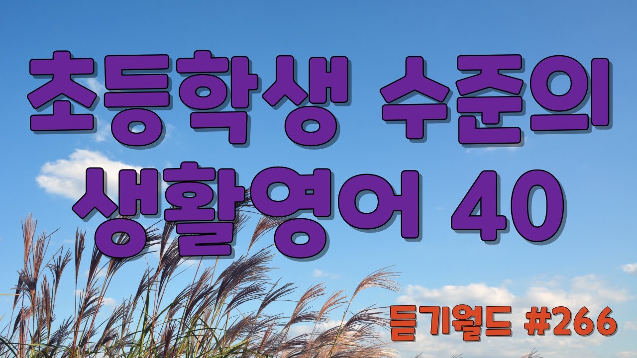 매일영어문장듣기영어가 저절로 되요 266생활영어영어흘려듣기영어일기간단한 영어문장무의식적으로기억하기영어회화영자신문