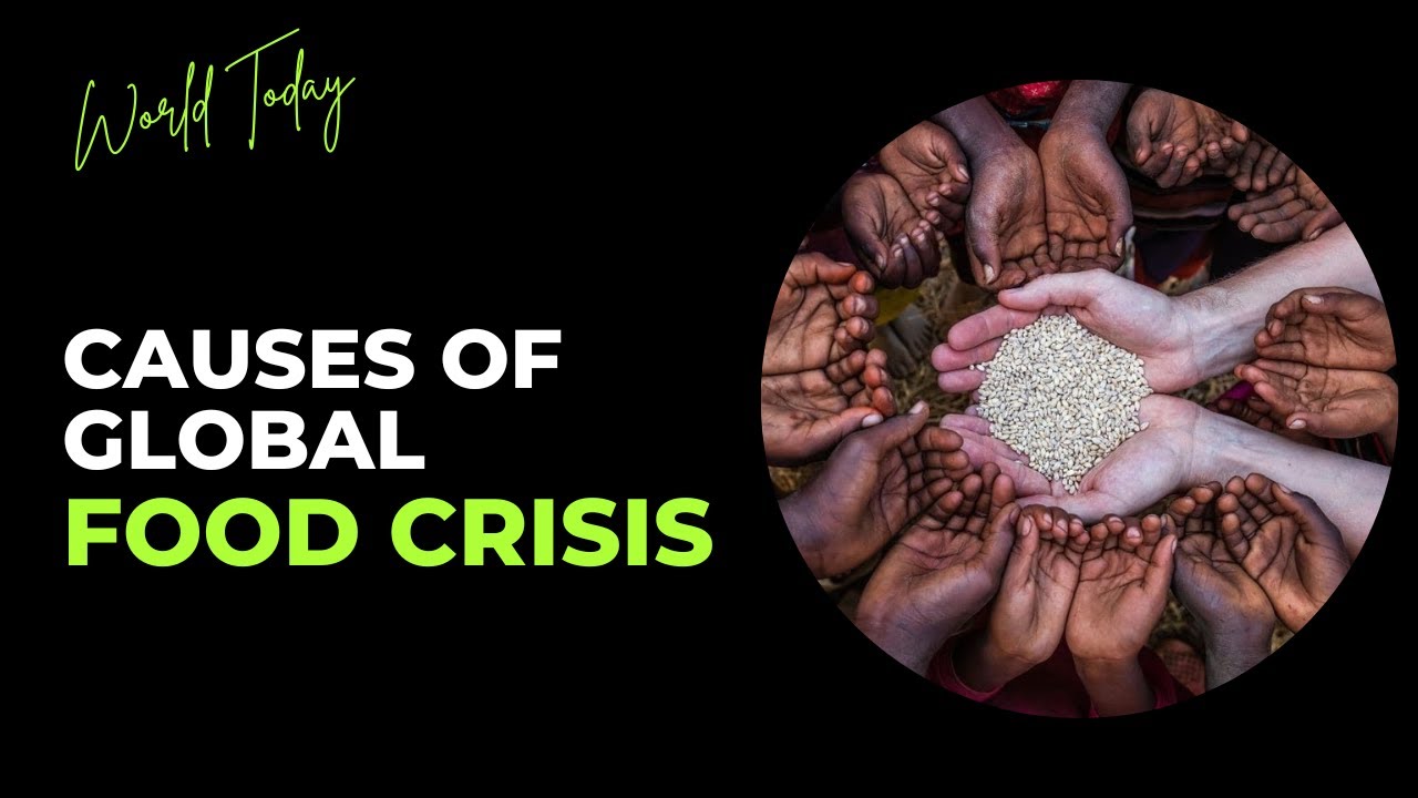 Causes Of Global Food Crisis | World Today - YouTube