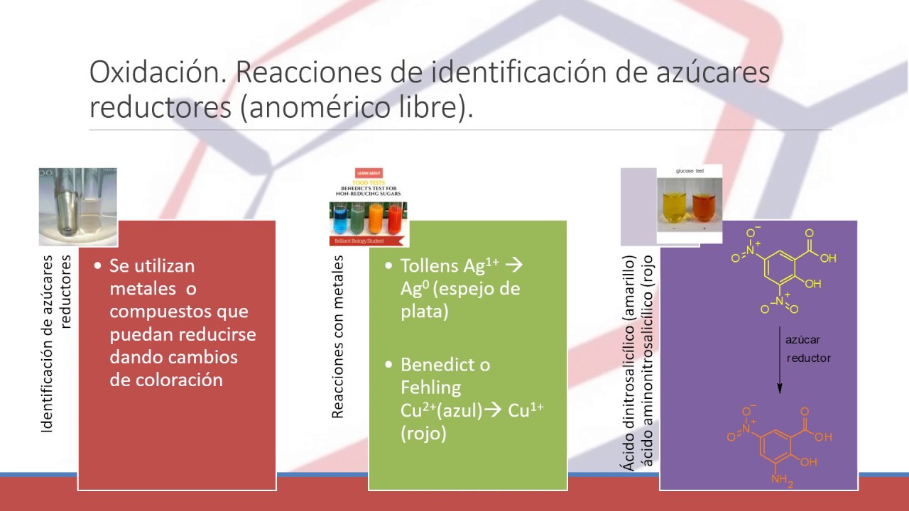 REACTIVIDAD BÁSICA DE CARBOHIDRATOS - YouTube