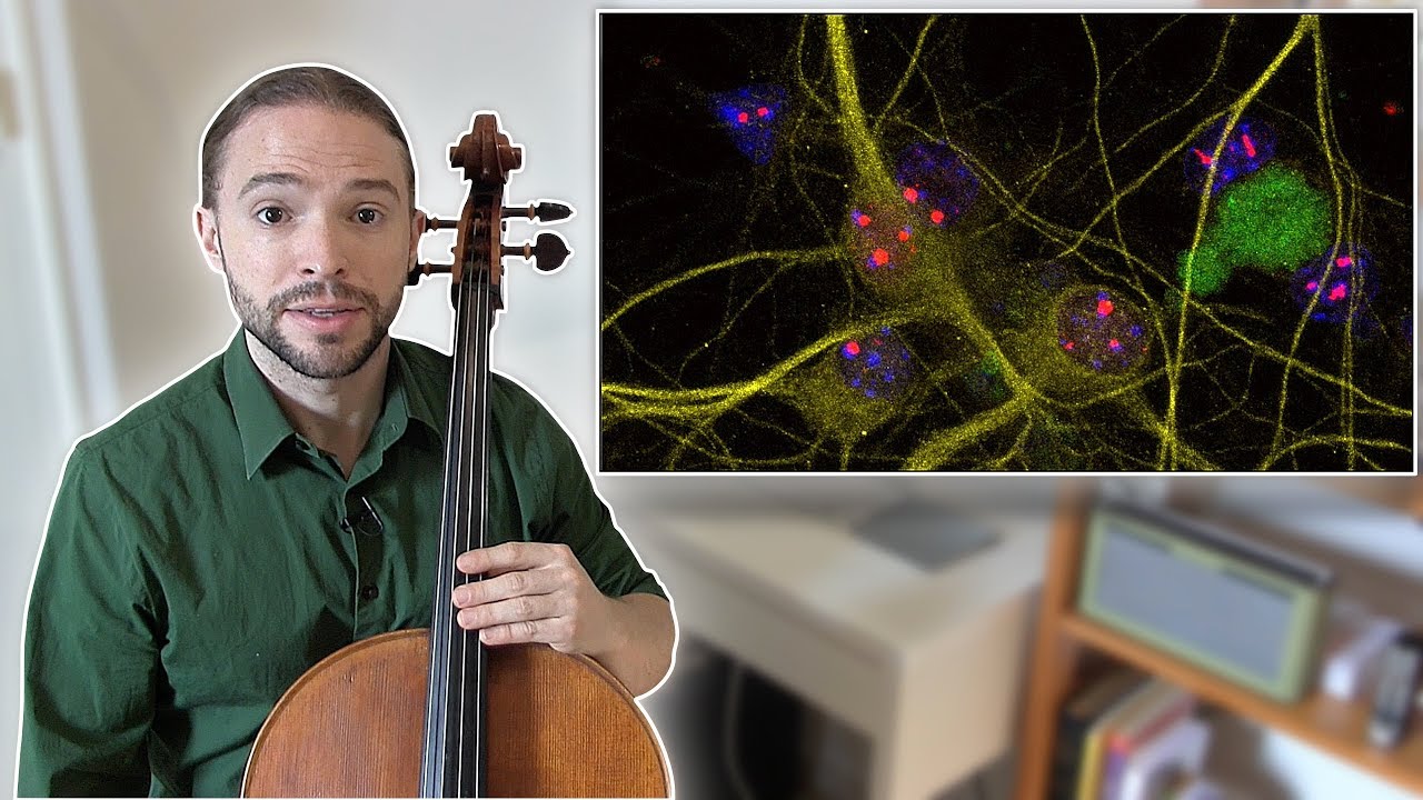 How to DEEP PRACTICE Cello Music | Cello Coach Talks - YouTube
