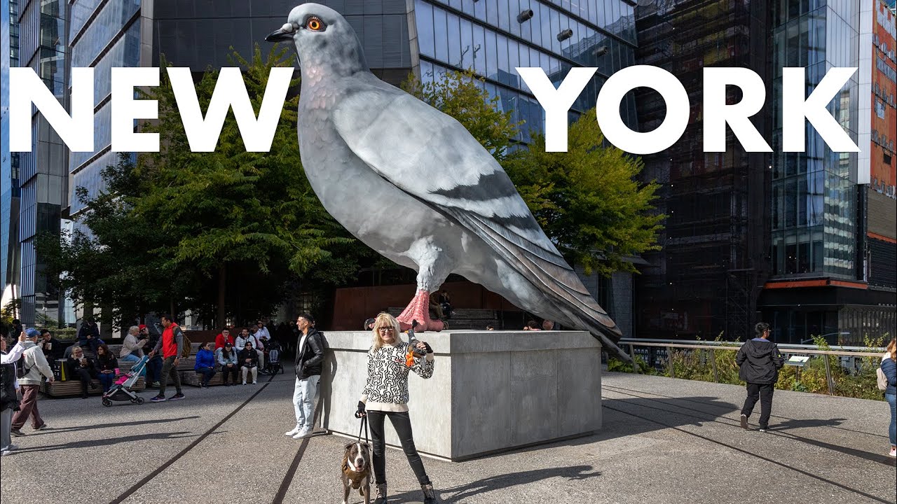 New York City LIVE Walking Comic Con & High Line Pigeon to Chelsea ...