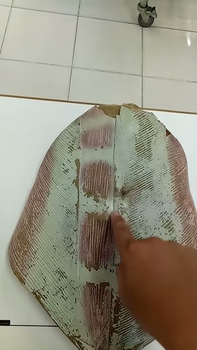 Cơ Bụng chéo Ngoài + Cơ Bụng chéo Trong + Cơ thẳng bụng - YouTube