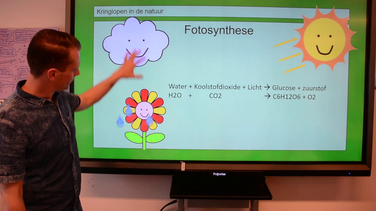 Ecologie: Kringlopen in de natuur (Oude video, link naar verbeterde ...