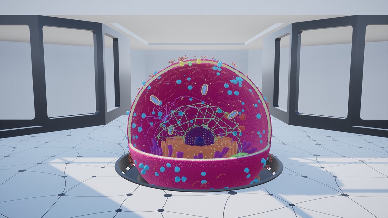Cell biology in VR - YouTube