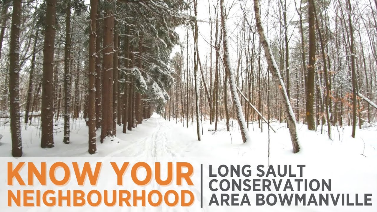 Long Sault Conservation Area | Know Your Neighbourhood Episode 7 - YouTube