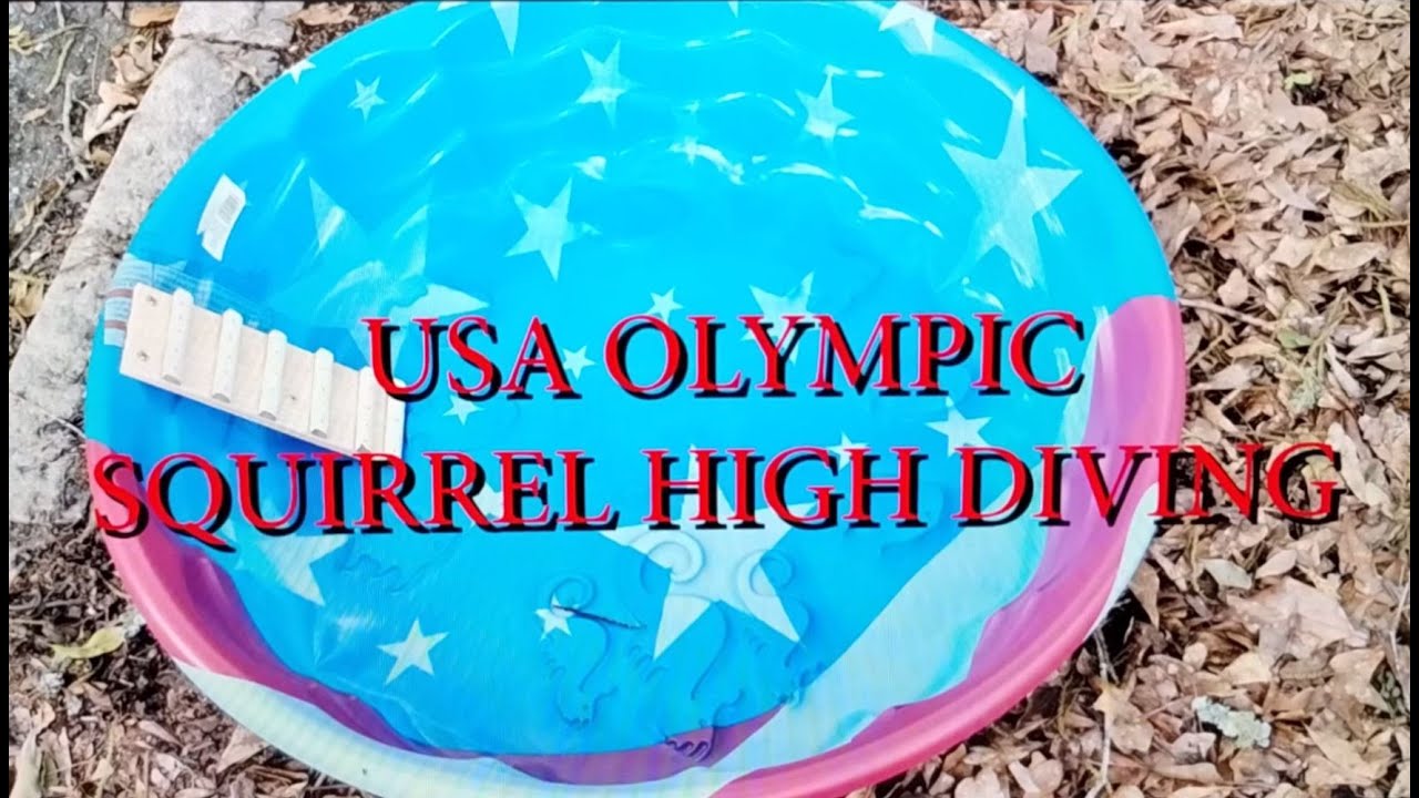USA Olympic Squirrel High Diving - Trained Athletes Only - YouTube