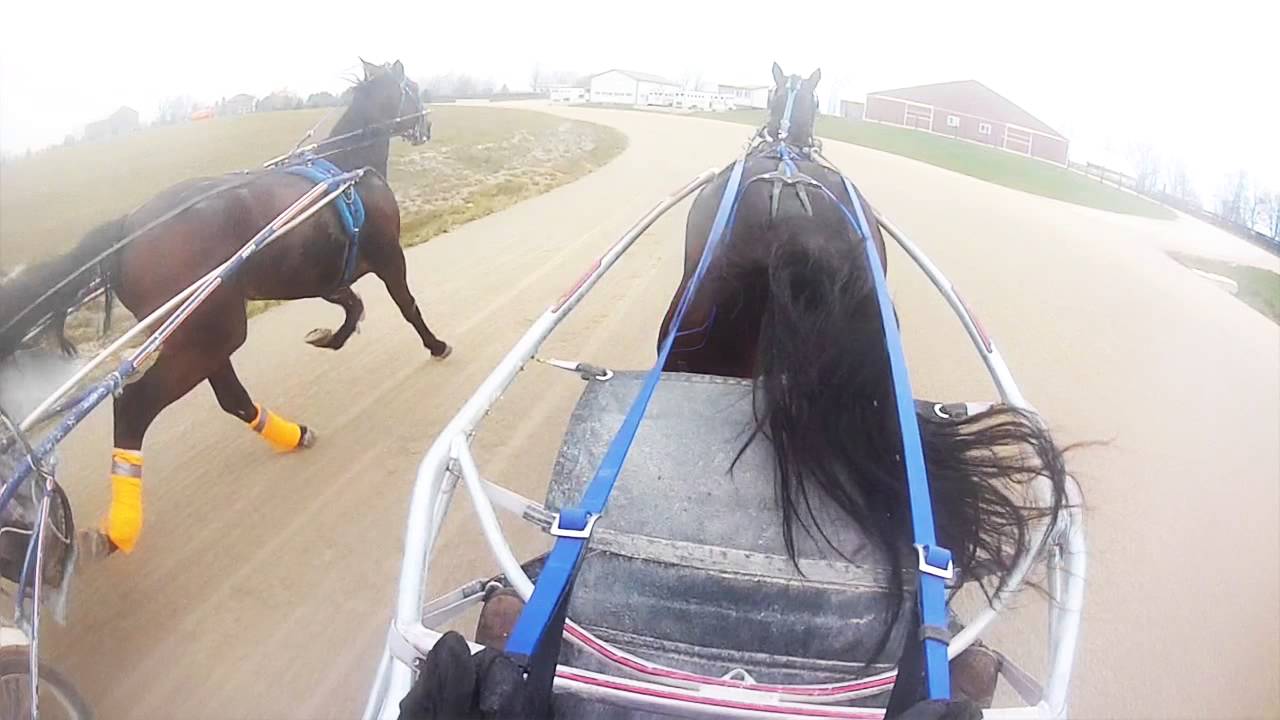 Slow motion standardbred training - YouTube