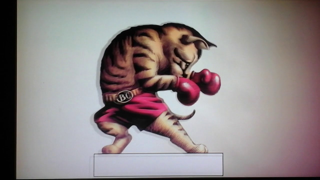 Boxing cat film - YouTube