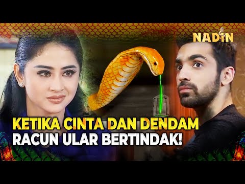 Calon Suamiku Pembunuh Ortuku, Kulenyapkan Dia Dengan Racun Ular! | Nadin Eps 01 FULL
