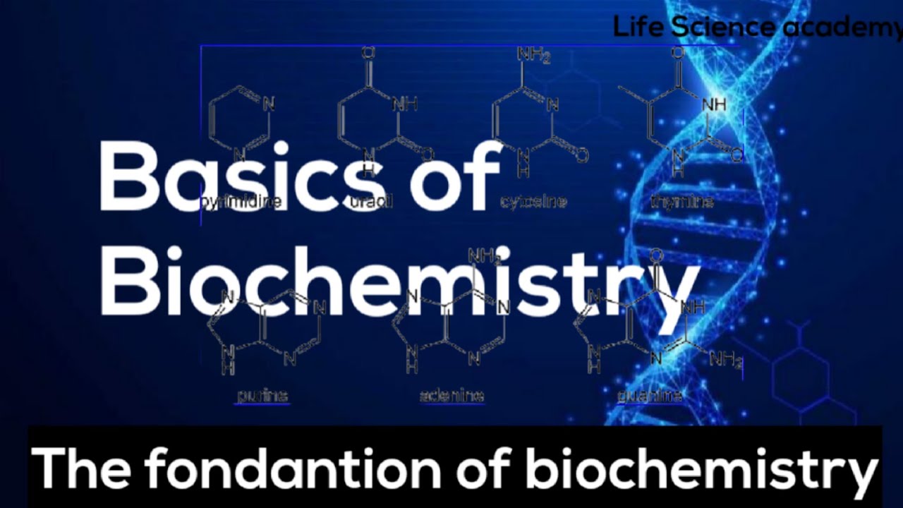 Basics of biochemistry |The foundations of biochemistry Cellular ...