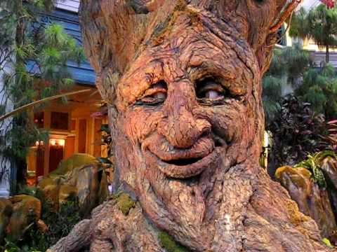 Bellagio Talking Tree - YouTube