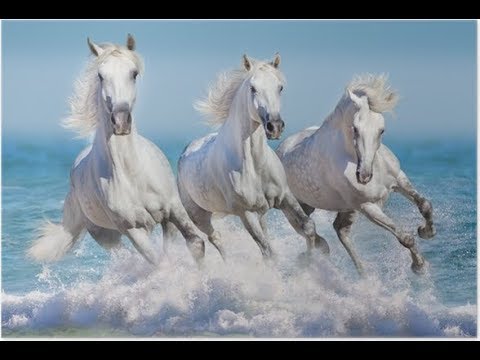 John Dreamer - Rise Extended (Epic Music)