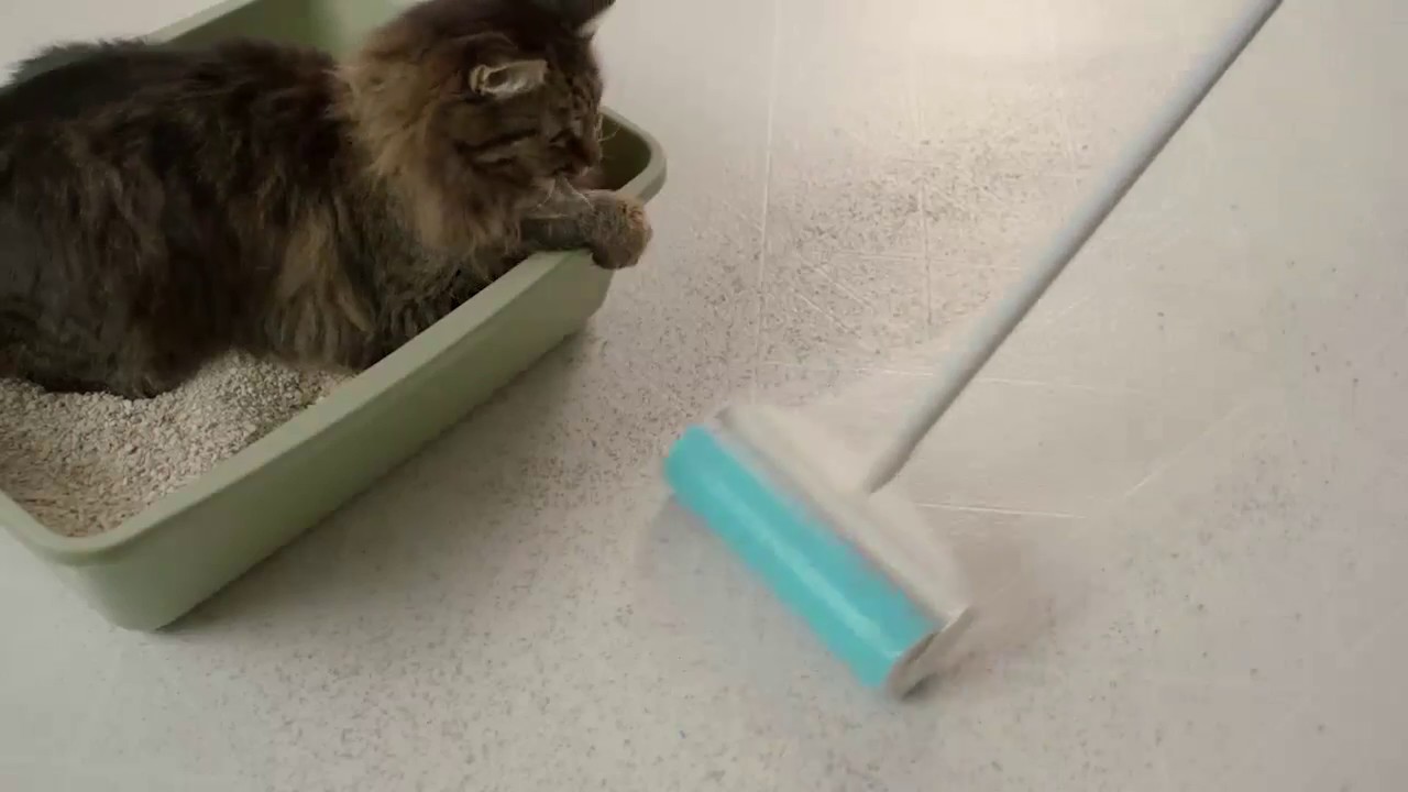 Shticky Presentation - YouTube