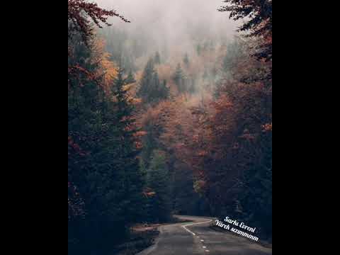 Julia Stone-Winter On The Weekend(Türkçe çeviri) #türkçeçeviri #yabancımüzik #karışıkşarkılar #söz