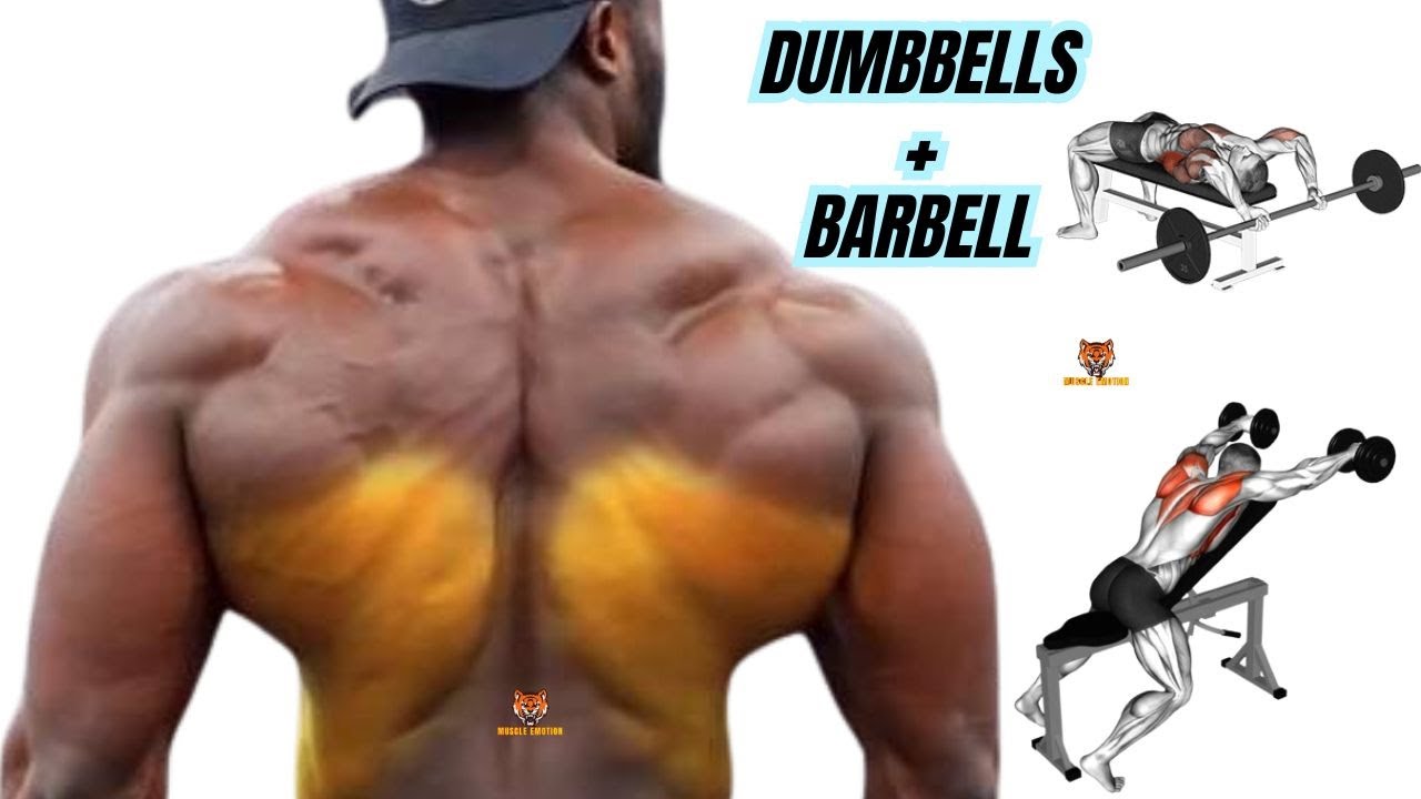 TOP 17 LAT MIDDLE BACK AND TRAPS WORKOUT WITH DUMBBELLS AND BARBELL ...