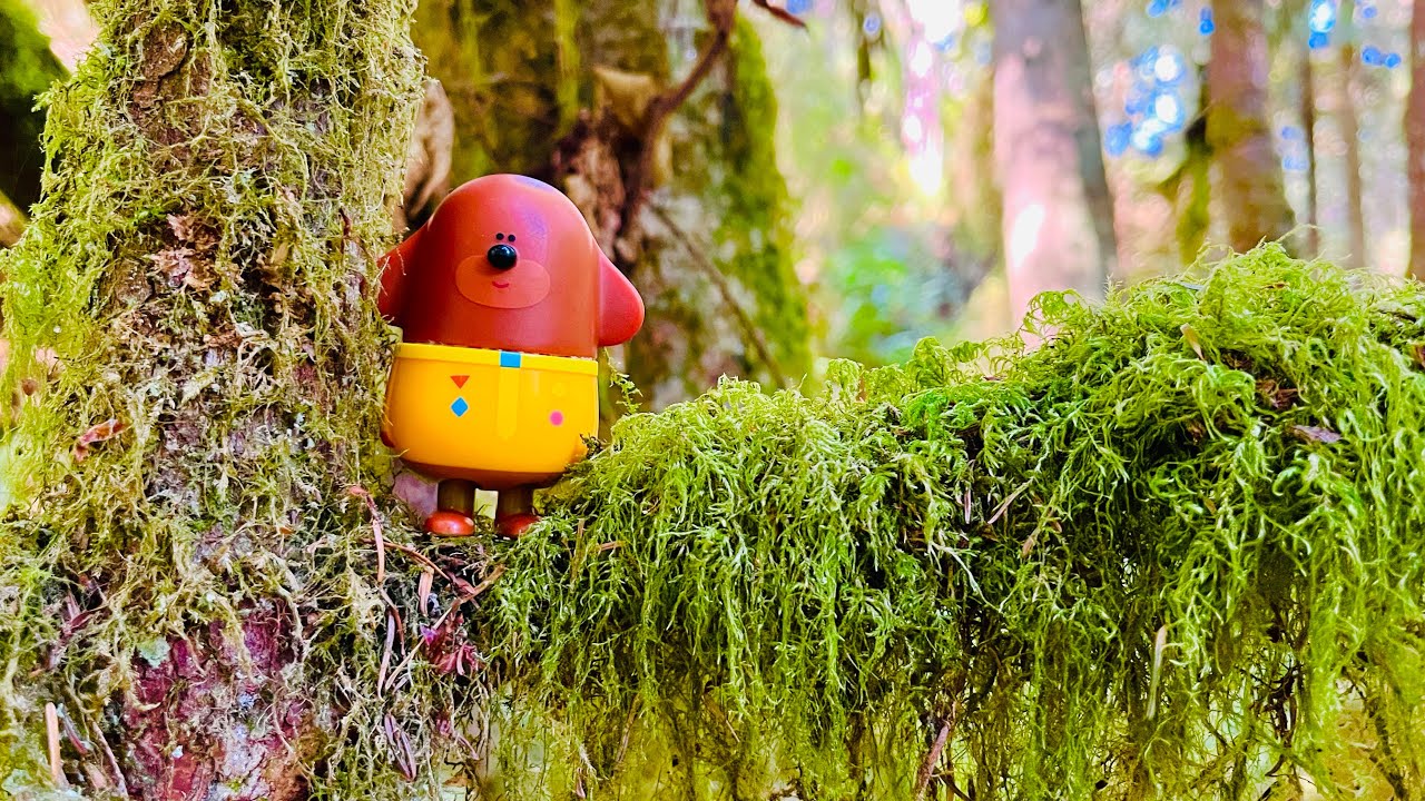 Hey Duggee FOREST Hike To The Beach NATURE Videos for Kids - YouTube