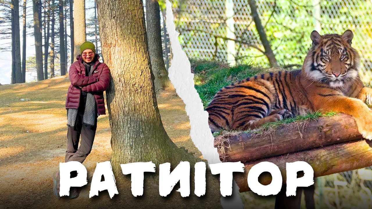 Patnitop Adventure & Jumbo Zoo Visit | ONLY RECOMMENDED IN SNOWFALL ...