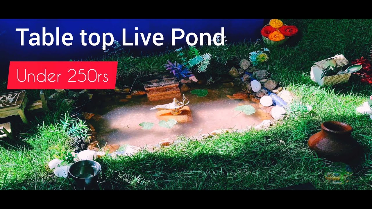 Portable DIY Pond | Table top live pond | low budget pond setup under ...