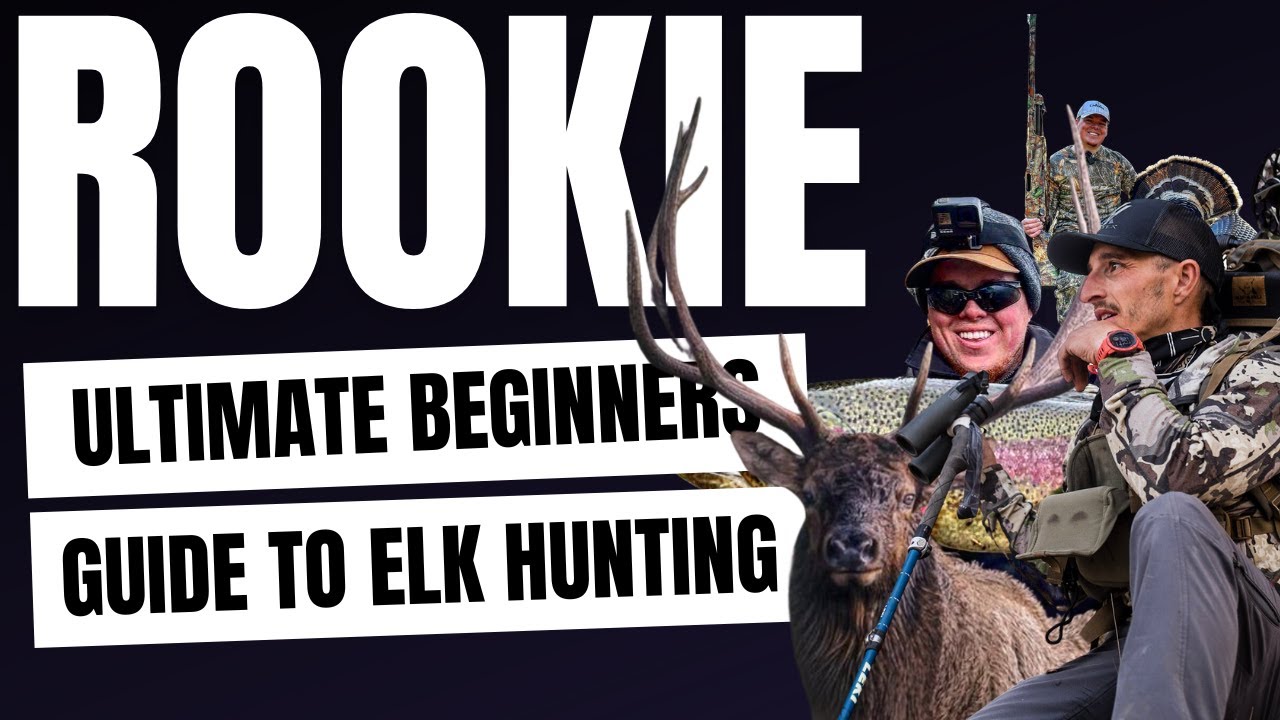 Ultimate BEGINNERS GUIDE to Elk Hunting: Part 1 Archery Foundation ...