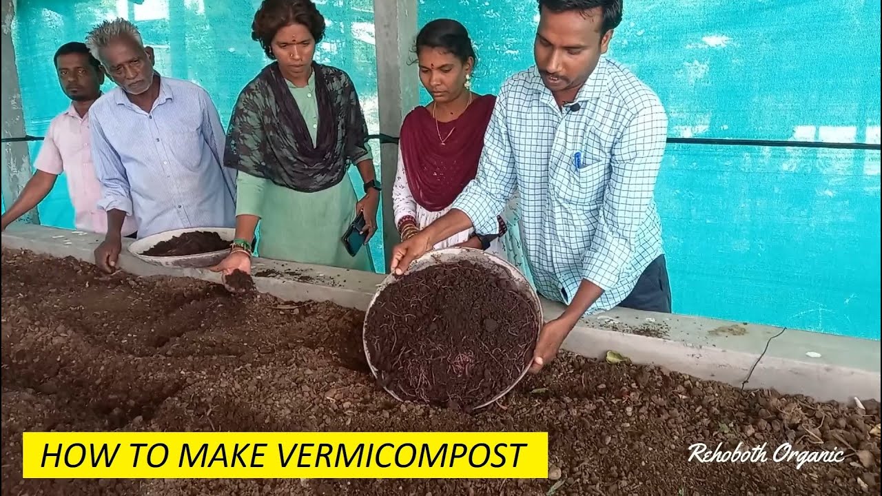 Vermicompost - How to make Vermicompost with Low Investment / மண்புழு ...