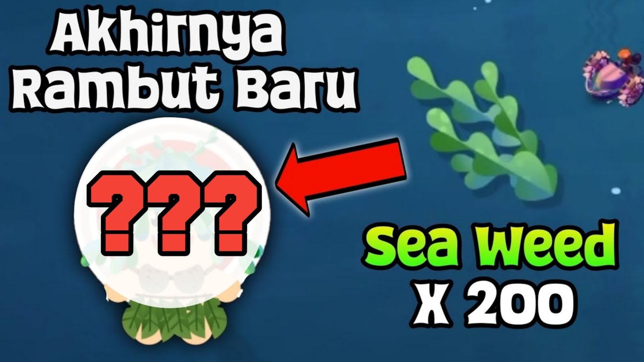 SEA WEED HUNTER - CREATURES OF THE DEEP FISHING - YouTube