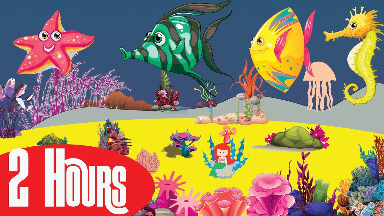 Fish swimming for sleep. Fish aquarium videos. Relaxing music for fish ...