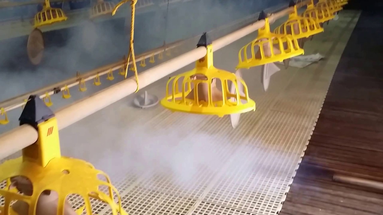 Aug42016 GPC8 2+3 - YouTube