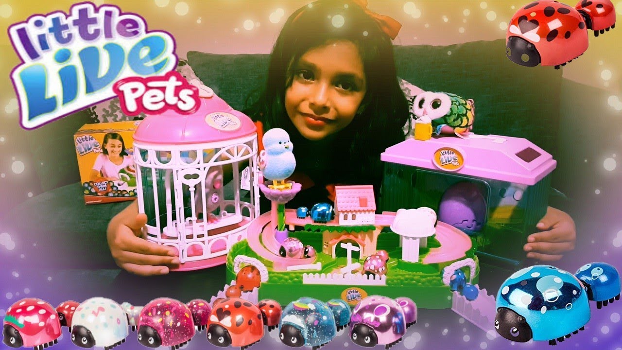 Little Live Pets Lil Ladybug Garden Unboxing | Birds and Chick Limited ...