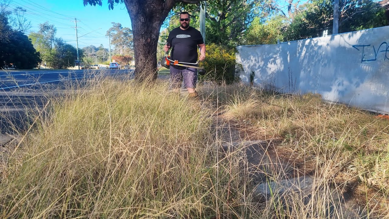 The Neighbours Were ANGRY This Overgrown ABANDONED NIGHTMARE Lawn Had ...