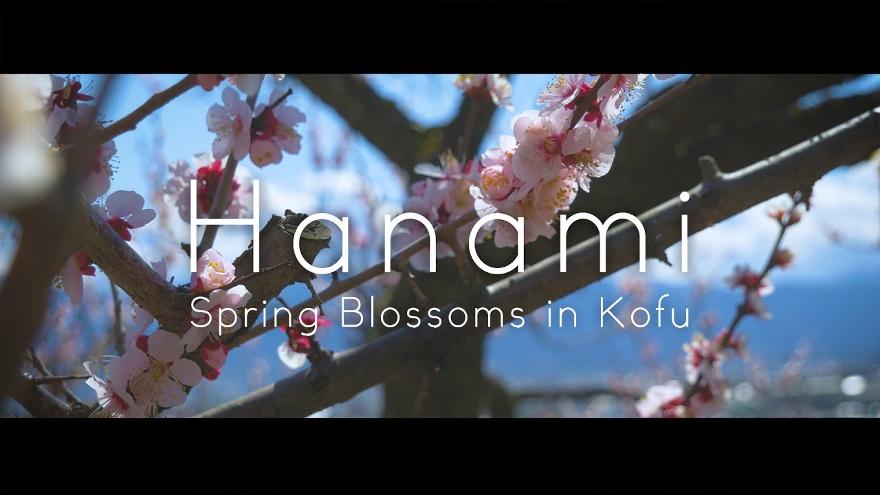 [4k] Hanami in Kofu - Japanese Spring Blossoms - YouTube