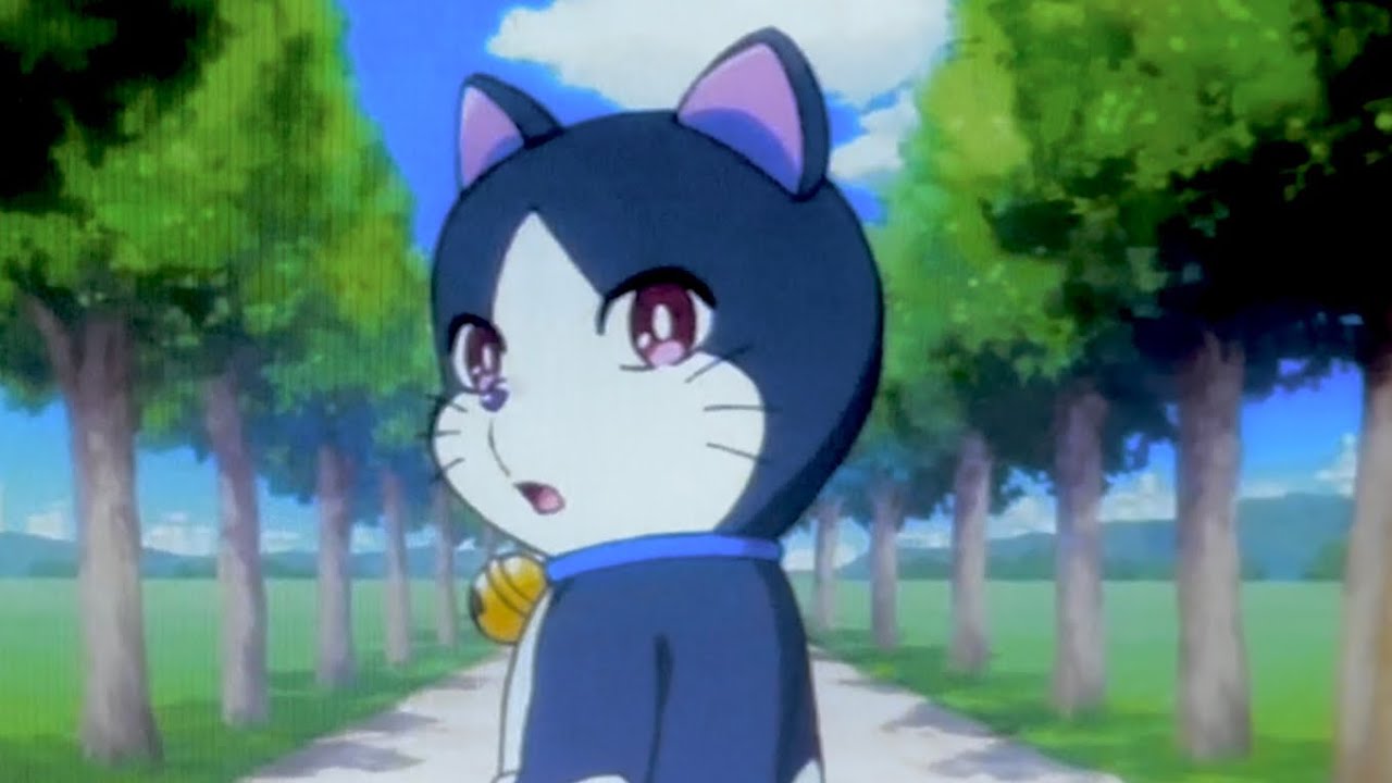 DNSU Sonya Alive New Robot Cat😻 - YouTube