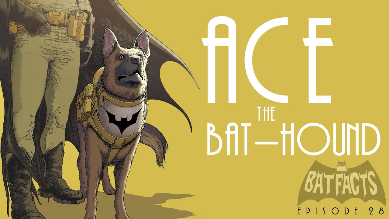 The History of Ace The Bat-Hound | BatFacts : Batman History Ep. 28 ...