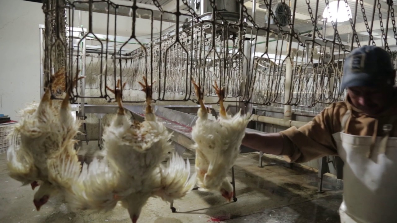 Bearing Witness - YouTube