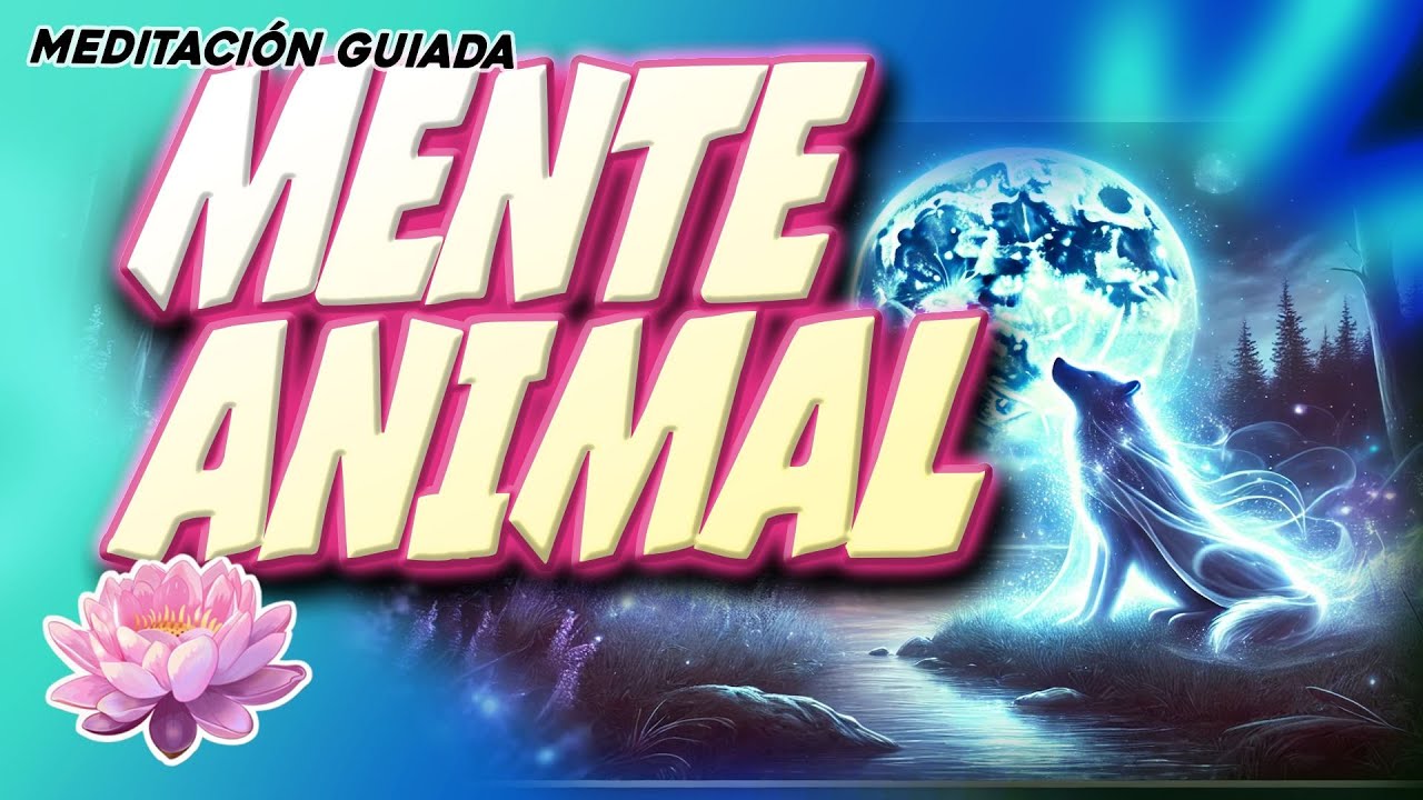 Meditación Guiada: Conviértete en un Lobo en el Bosque 🌙🐺 #mindfulness ...