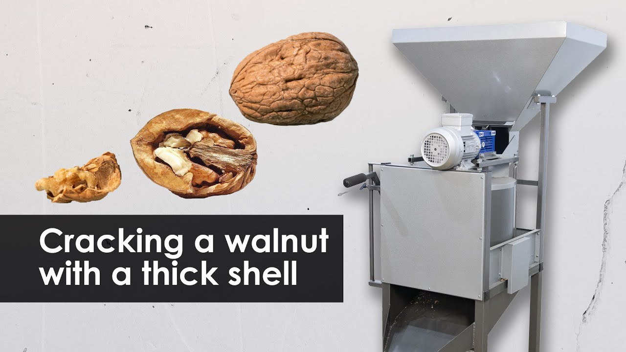 Walnut breaker after cracking machine. What is it used for? - YouTube