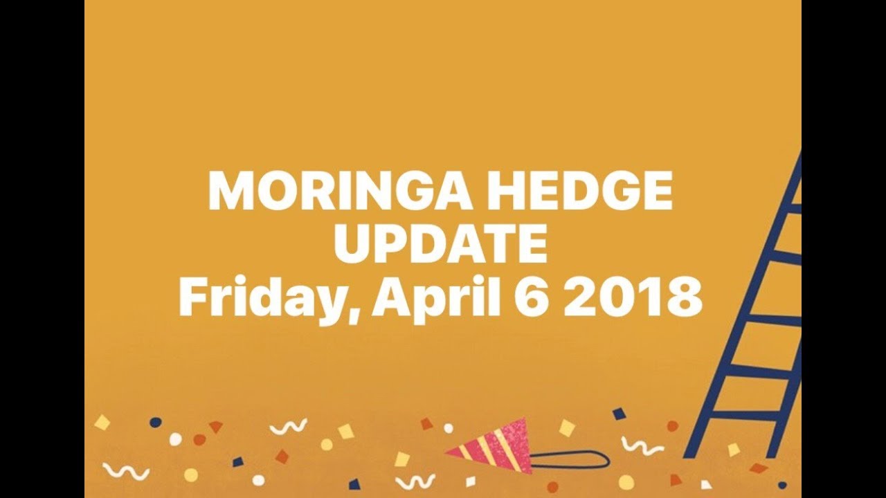 Moringa Hedge Update | Friday, April 6 2018 | Raw Footage with ...
