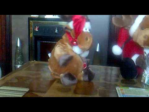Festive Dancing Moose - YouTube